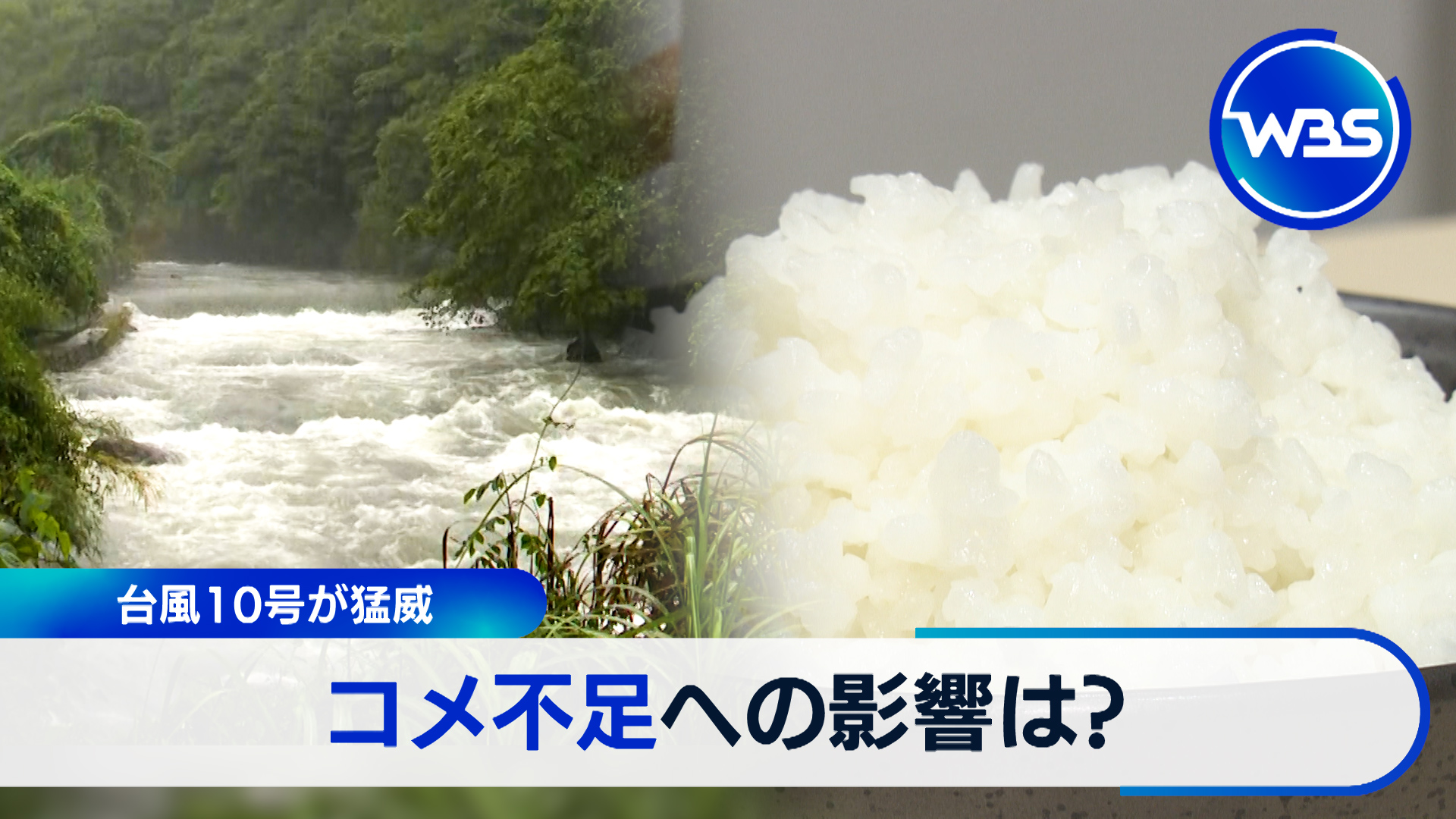 テレ東・BSテレ東 7ch(公式)